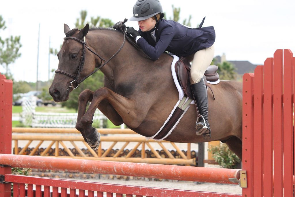5 Things Any Rider Can Do To Be Successful - The Plaid Horse Magazine