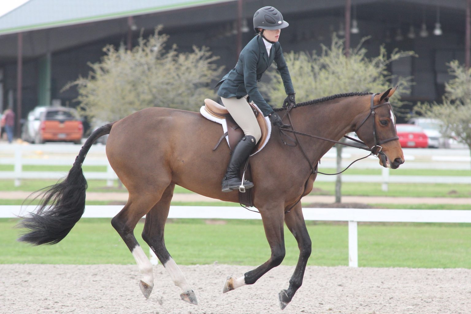 5 Things Any Rider Can Do To Be Successful - The Plaid Horse Magazine