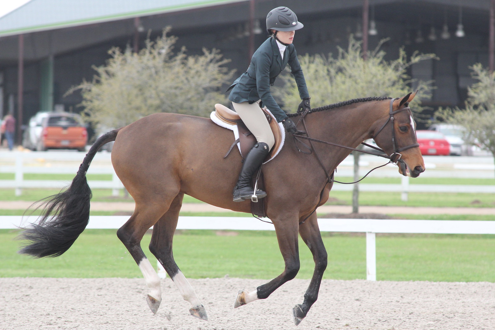 5 Things Any Rider Can Do To Be Successful - The Plaid Horse Magazine
