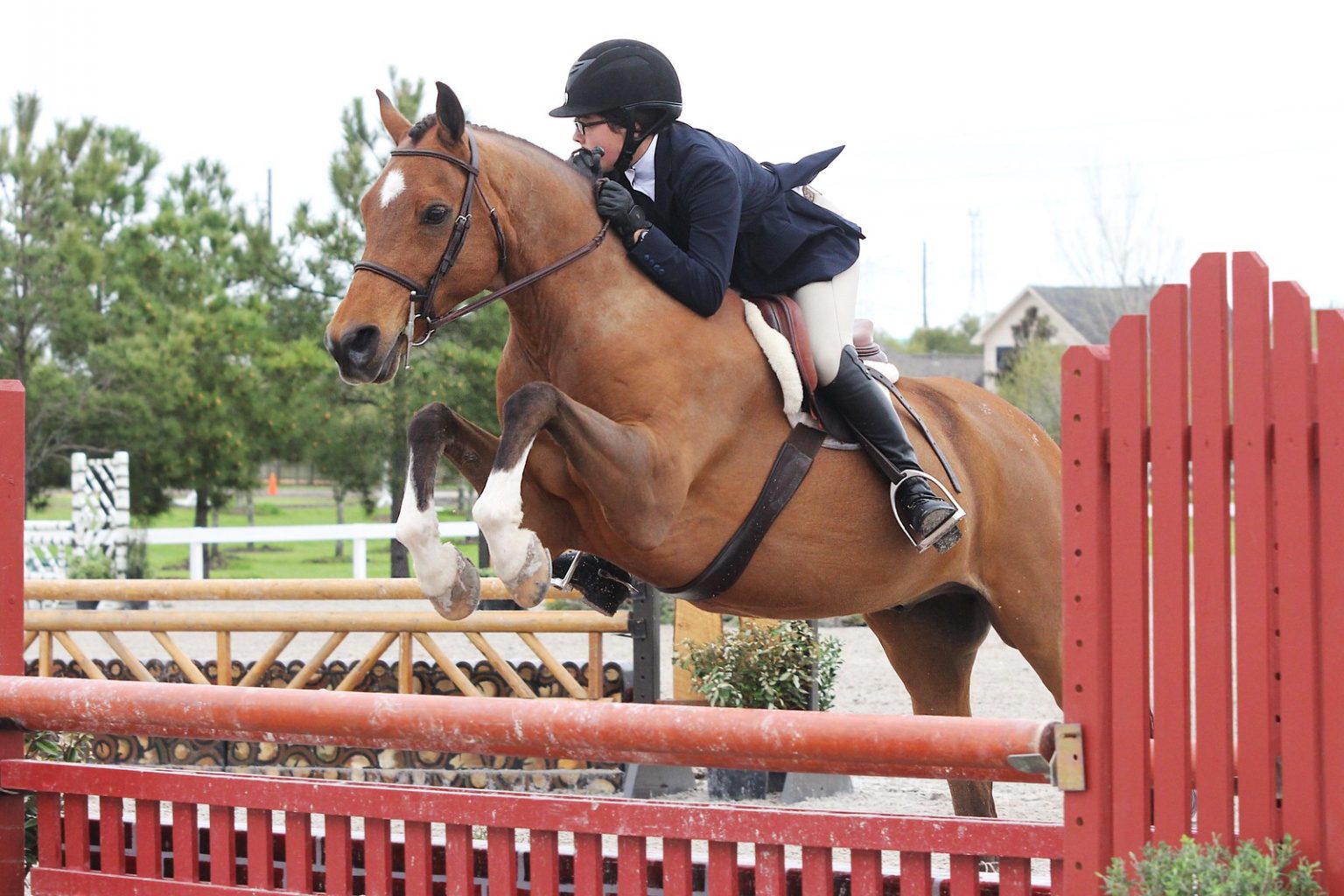 5 Things Any Rider Can Do To Be Successful - The Plaid Horse Magazine