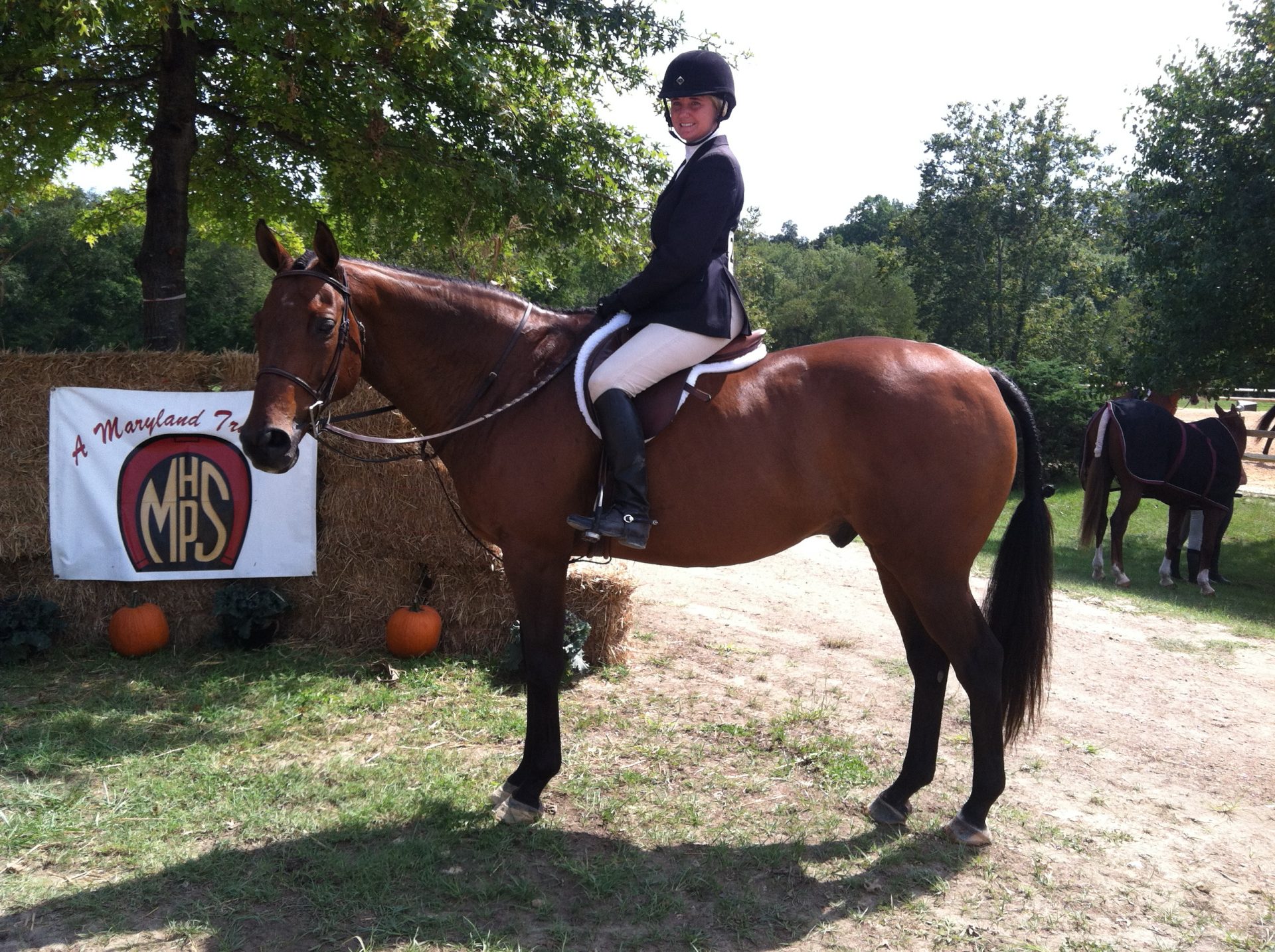 A Thoroughbred Dream: Creating the Hunter Champion an Exercise Rider ...