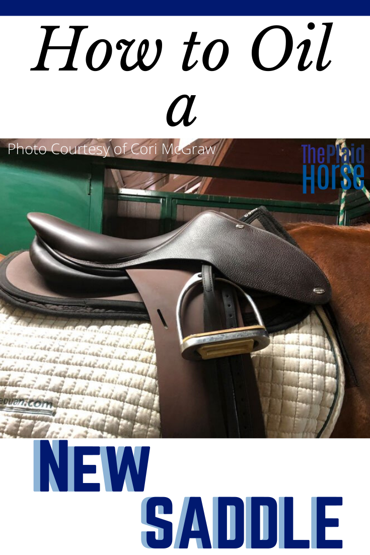 How to Oil a New Saddle - The Plaid Horse Magazine