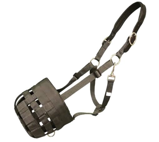 The Ultimate Grazing Muzzle Guide - The Plaid Horse Magazine