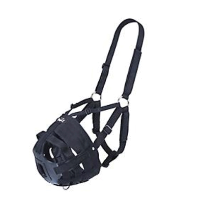 The Ultimate Grazing Muzzle Guide - The Plaid Horse Magazine