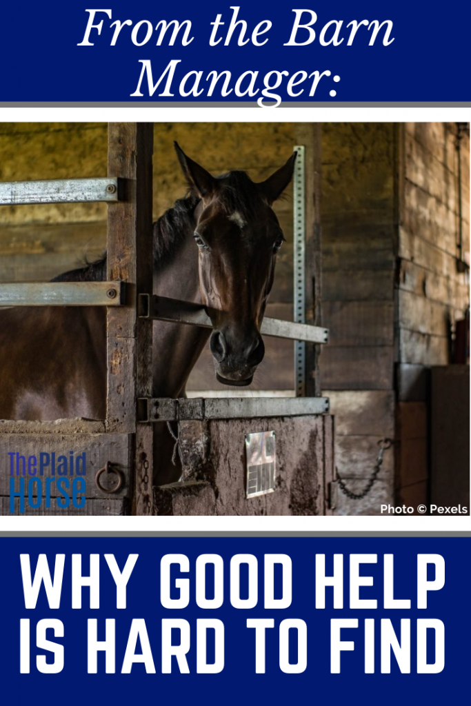 Why Good Help Is Hard to Find: A Barn Manager’s Perspective - The Plaid ...