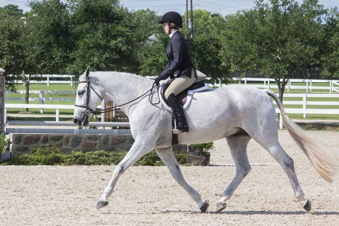Understanding Showing Rules for NSAIDs - The Plaid Horse Magazine