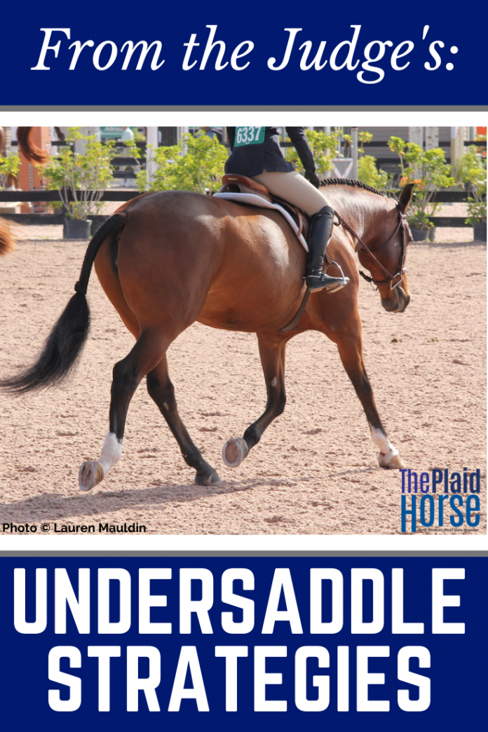 Straight From the Judge’s Booth: Strategies for the Under Saddle - The ...