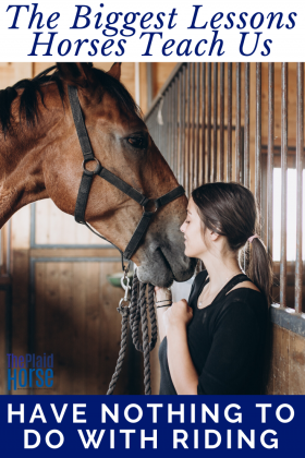 Sometimes it seems that the biggest lessons horses teach us have ...