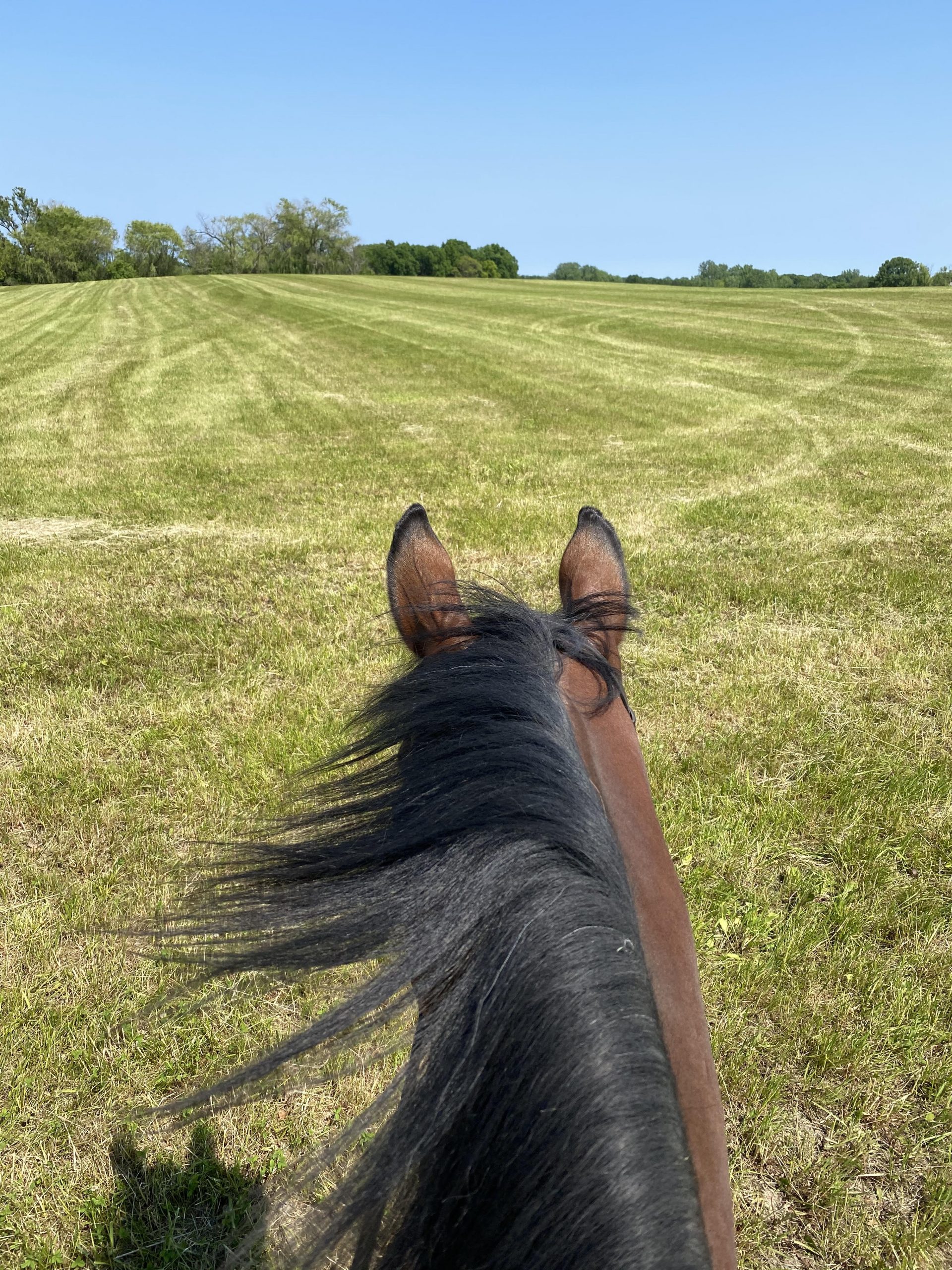 The Big Field at the End of the World - The Plaid Horse Magazine