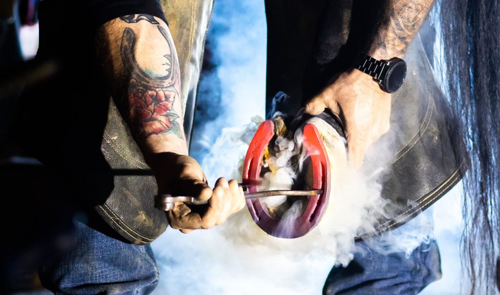 The Three Constitutions of a Great Farrier - The Plaid Horse Magazine