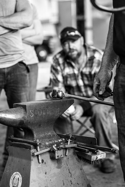 The Three Constitutions of a Great Farrier - The Plaid Horse Magazine