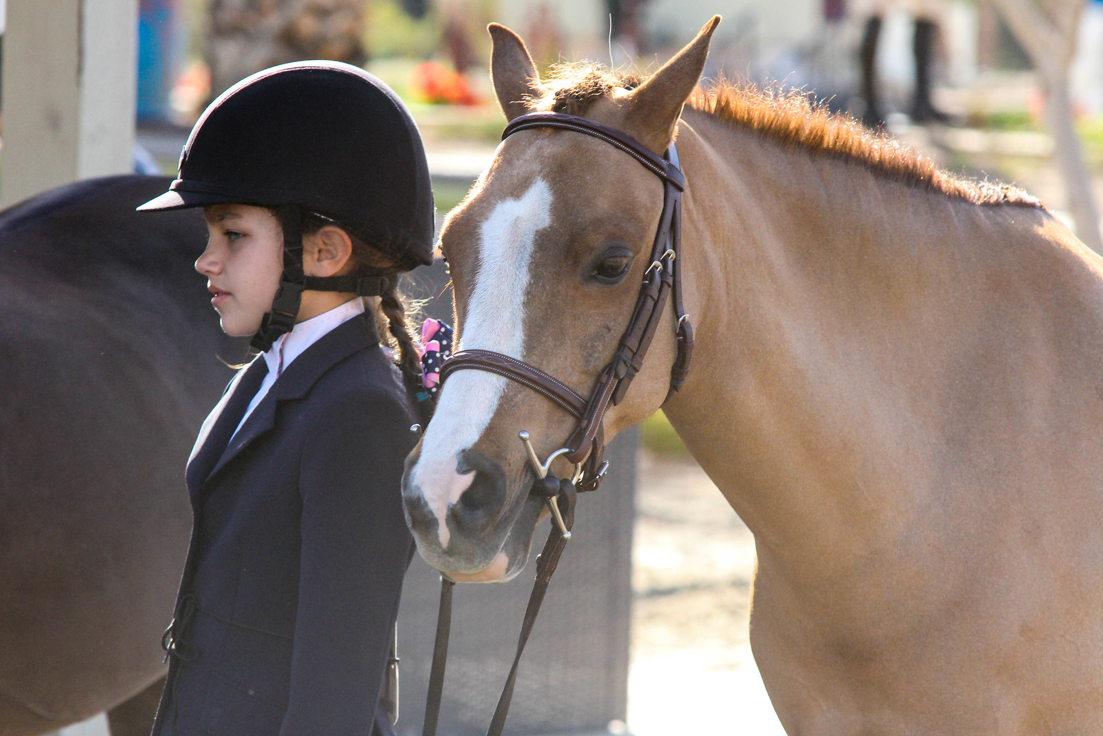 Things to Know Before Going to the Horse-Riding Academy - The Plaid ...