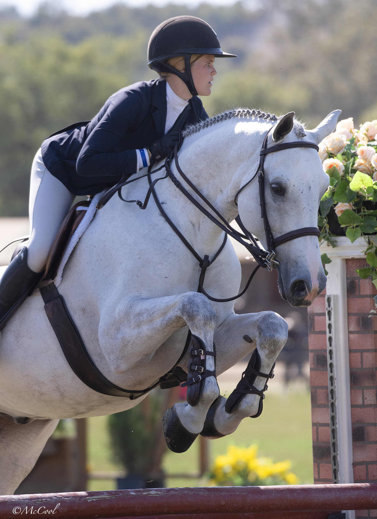CPHA Medal Finals Results - The Plaid Horse Magazine