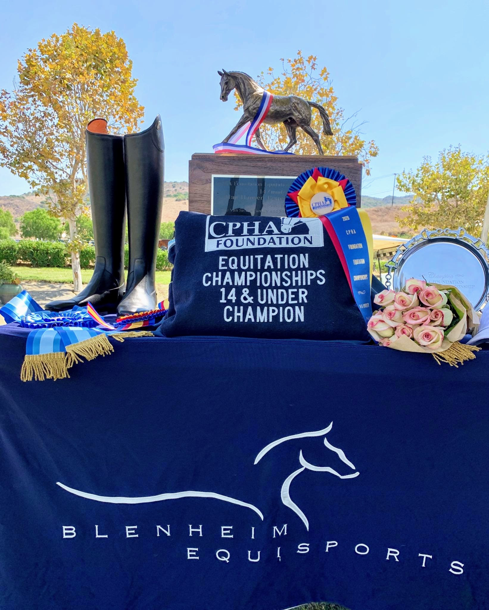CPHA Foundation Equitation Championship Results - The Plaid Horse Magazine