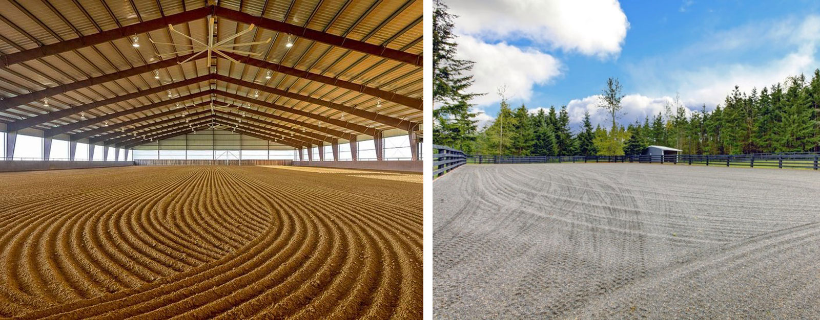 Feeling Stressed? Zen Out With These Freshly Dragged Arenas - The Plaid ...