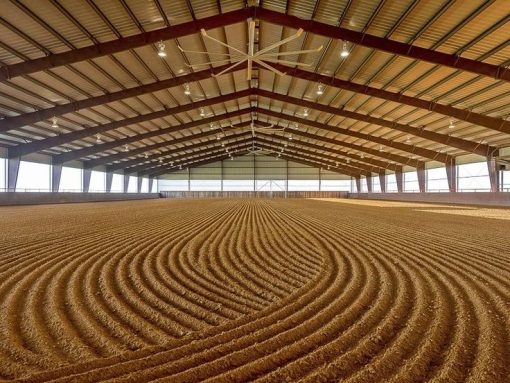 Feeling Stressed? Zen Out With These Freshly Dragged Arenas - The Plaid ...