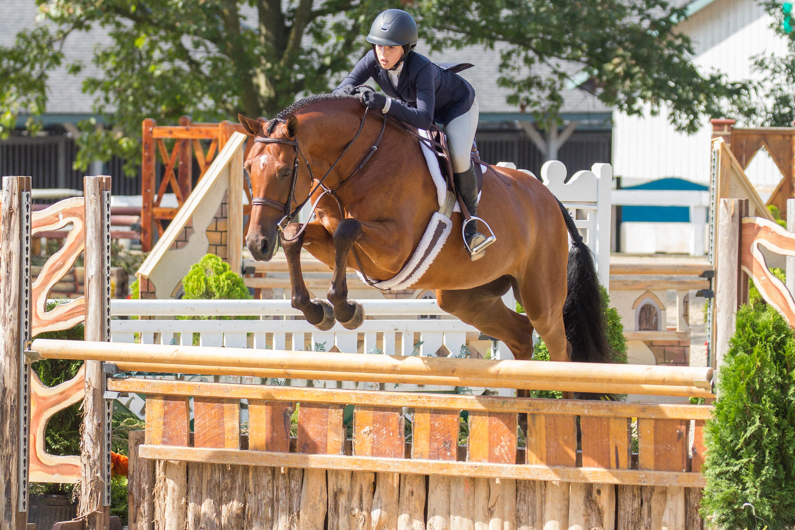 What Determines How You Place in the Hunters? - The Plaid Horse Magazine