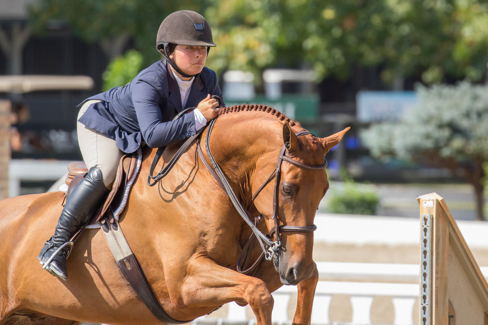 What Determines How You Place in the Hunters? - The Plaid Horse Magazine