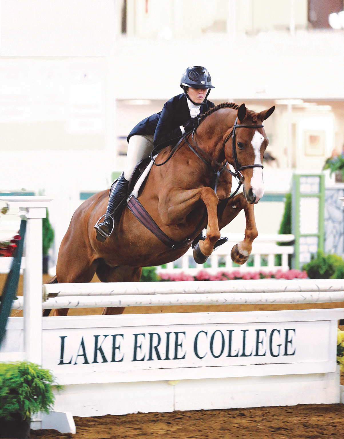 Lake Erie College: Where Equestrian Career Dreams Can Become Reality ...