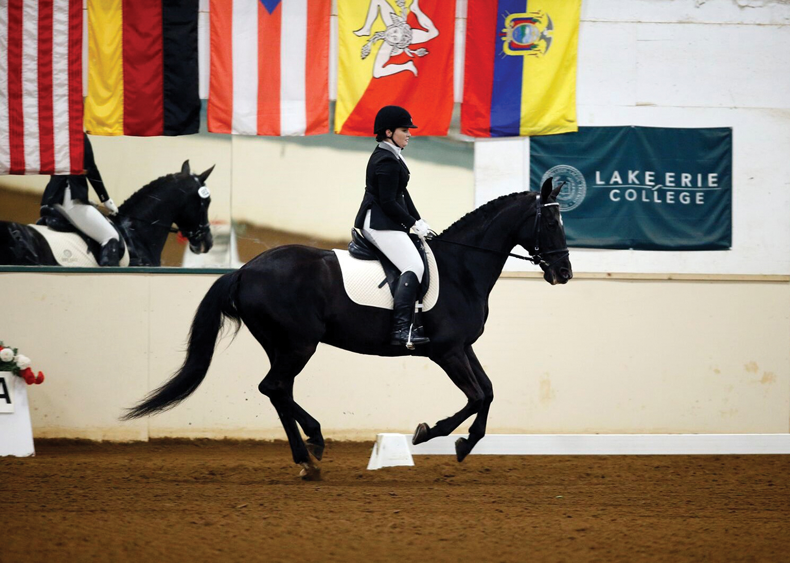 Lake Erie College: Where Equestrian Career Dreams Can Become Reality ...