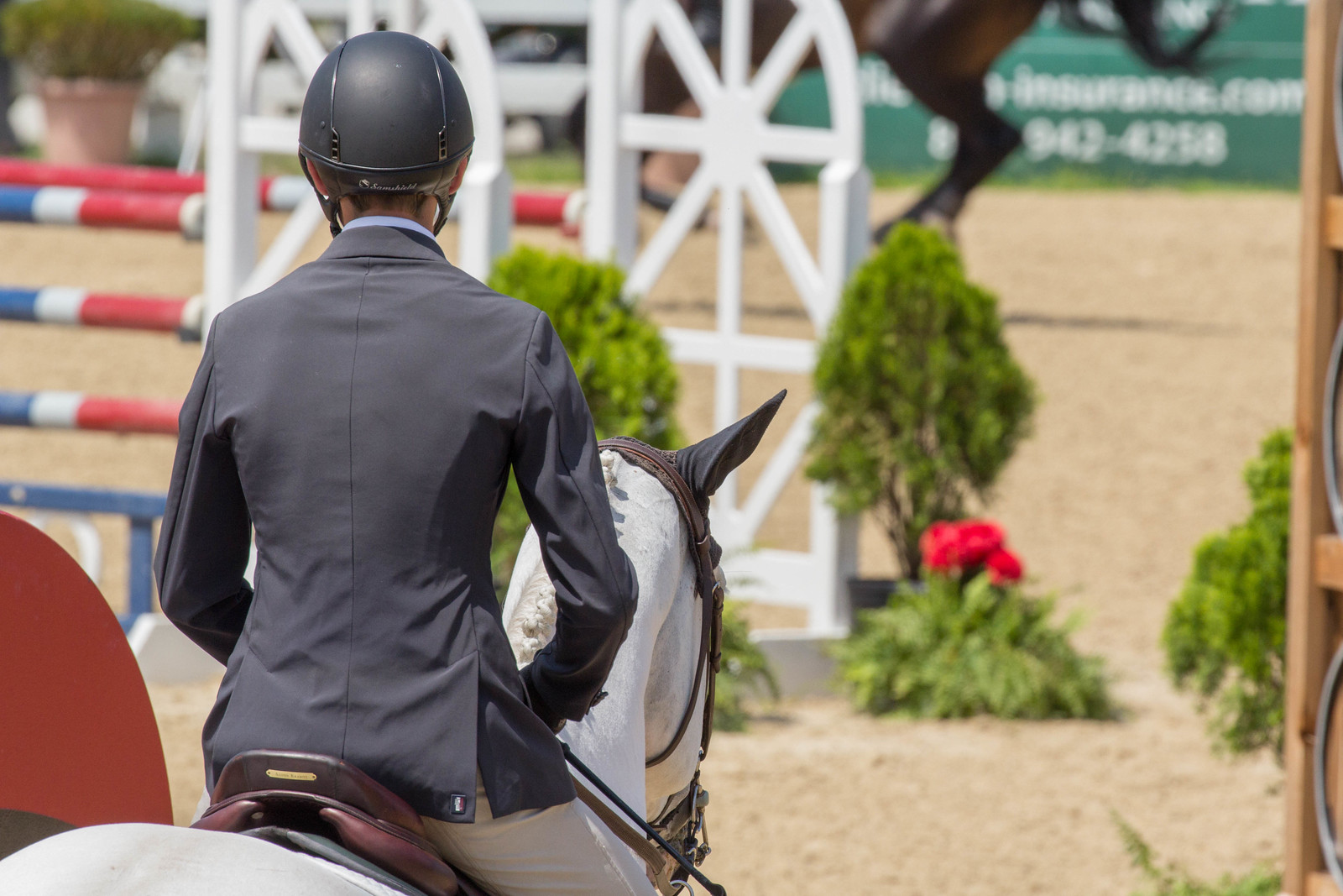 Concussion Discovery Reveals Dire, Unknown Effect of Even Mild Brain ...