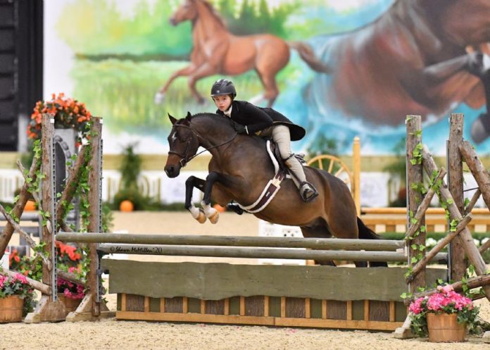 Vivian Golden Garners Grand Pony Hunter Champion at Capital Challenge ...