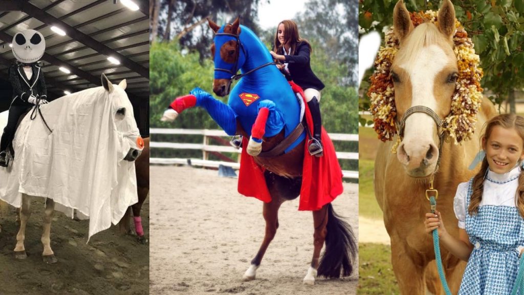 It's Been a Hard Year, So Here are Some Horses in Costume - The Plaid ...