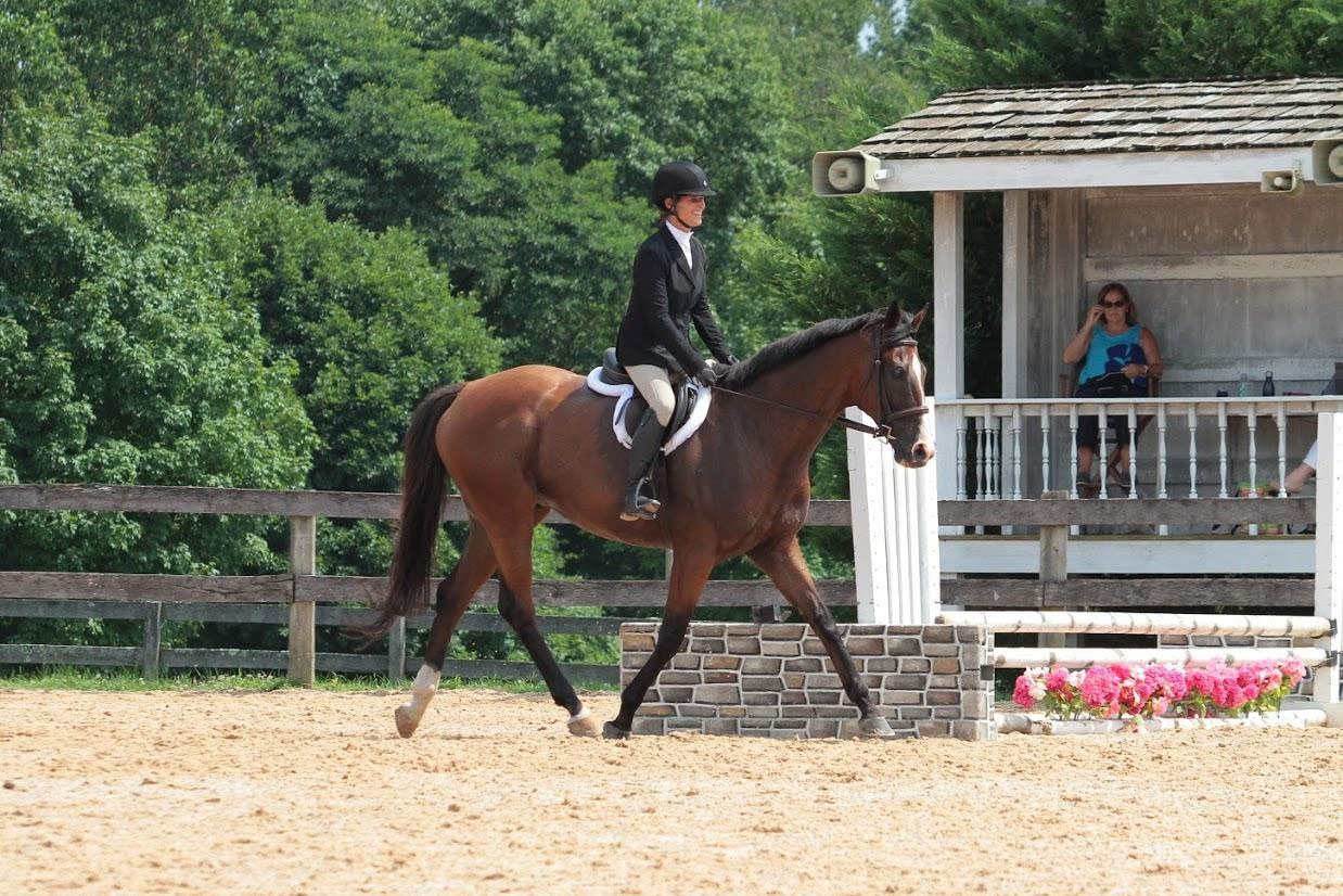 When It’s Time to Leave a Perfectly Good Trainer - The Plaid Horse Magazine