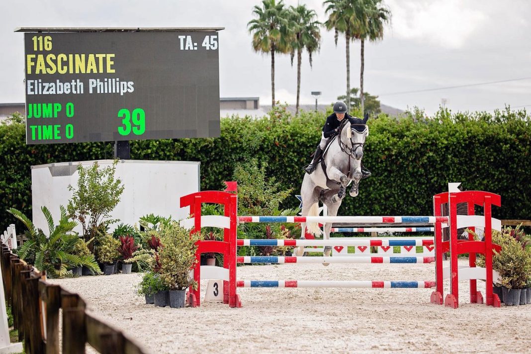 From the Adult Hunters to Grand Prix in Under Three Years - The Plaid ...