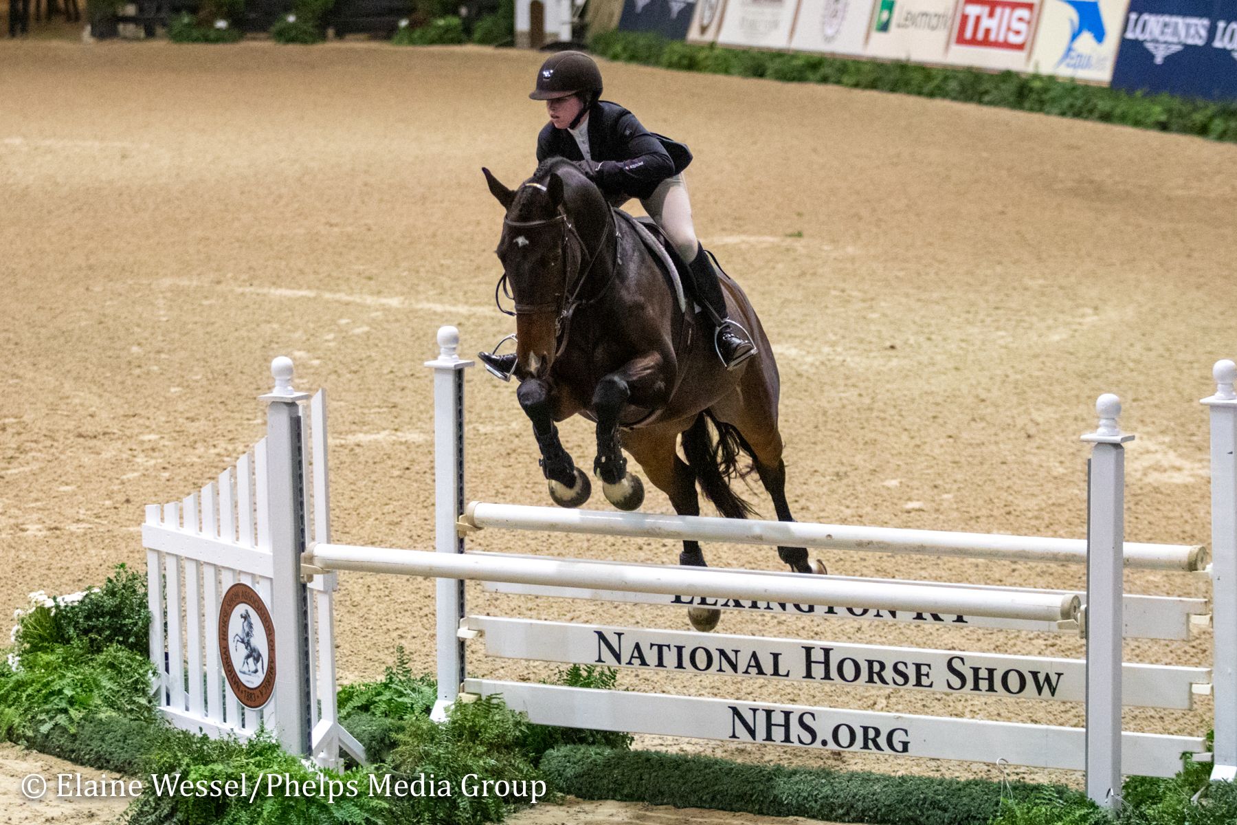 Dominic Gibbs Hoists Winning Title at 2020 ASPCA Maclay National ...
