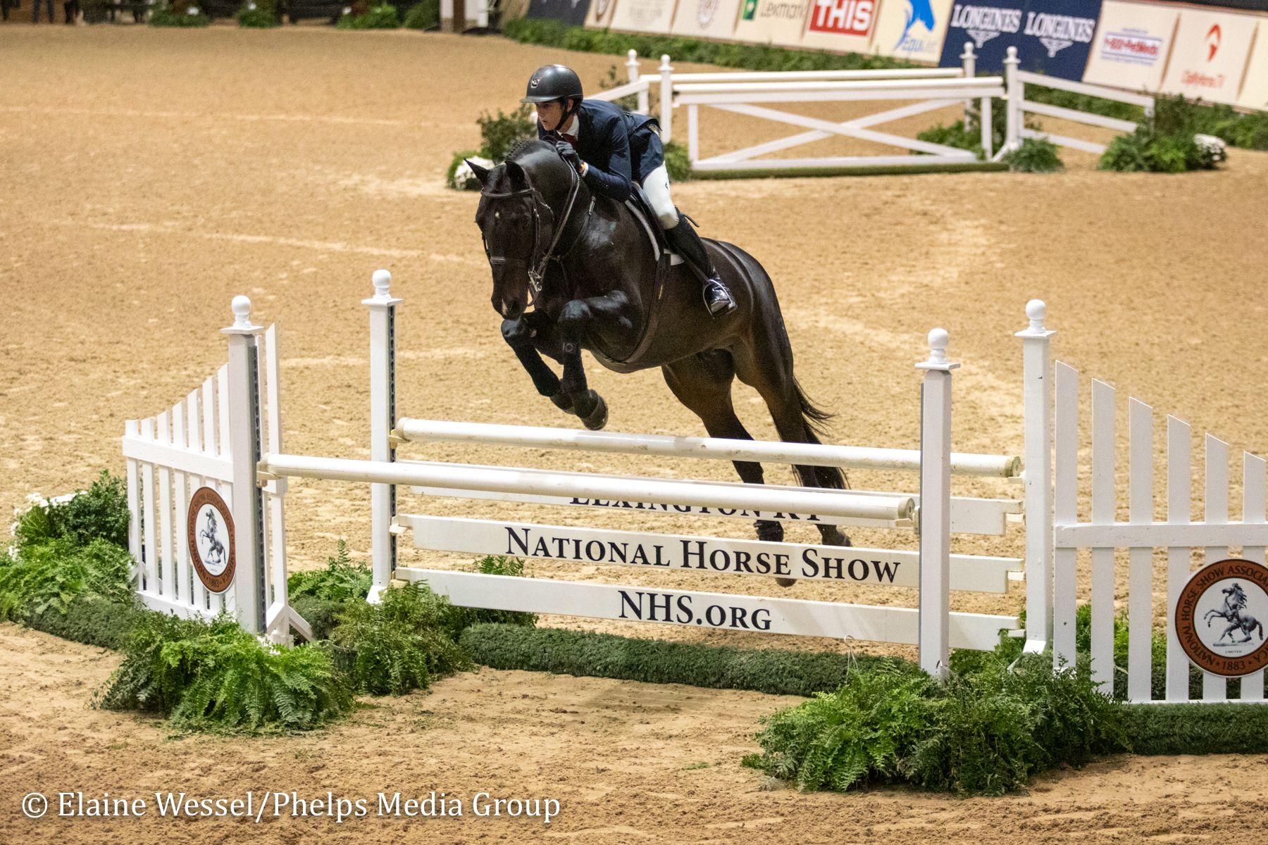 Dominic Gibbs Hoists Winning Title at 2020 ASPCA Maclay National ...