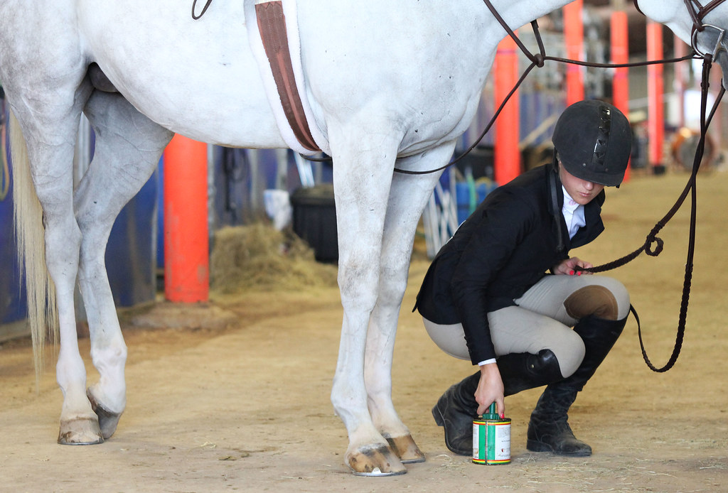 Three Tips for Ditching the Barn Drama - The Plaid Horse Magazine