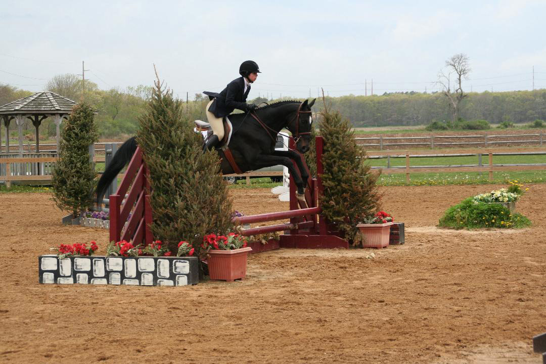 My Take: An Ode to Being a Good Student - The Plaid Horse Magazine