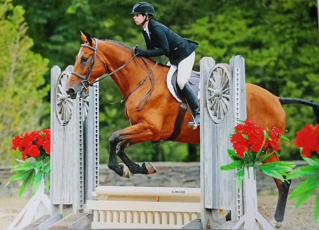 My Take: An Ode to Being a Good Student - The Plaid Horse Magazine