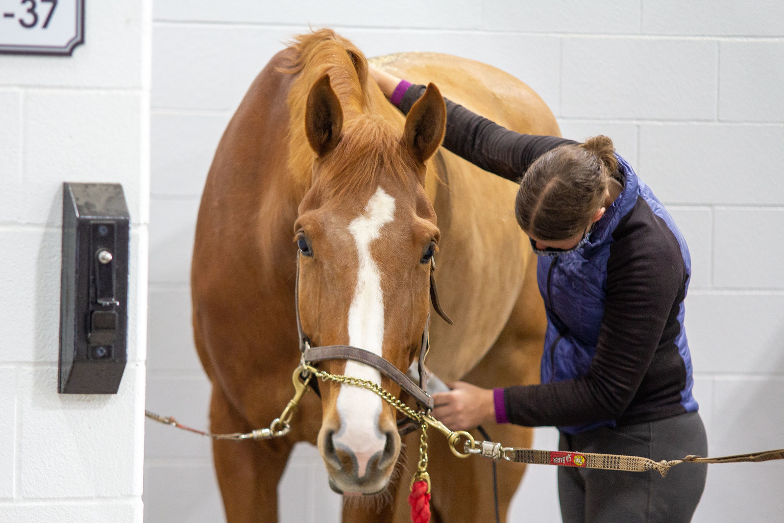 Creating Opportunities: My Experiences as a Working Student In and ...