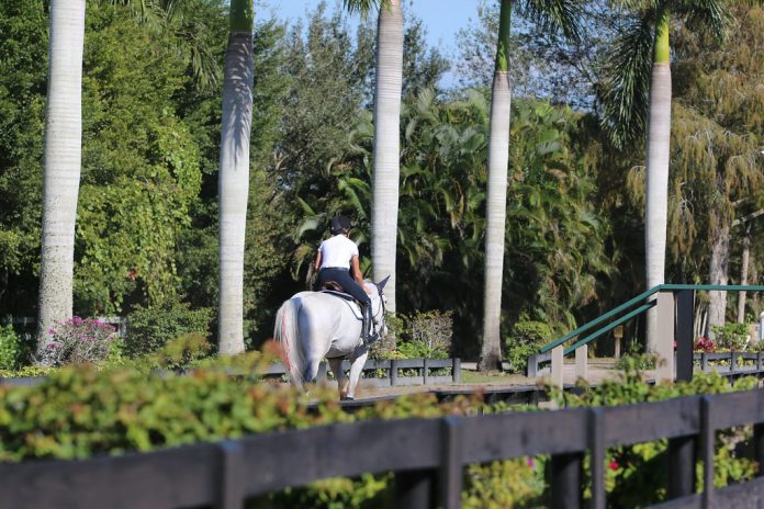 Creating Opportunities: My Experiences as a Working Student In and ...