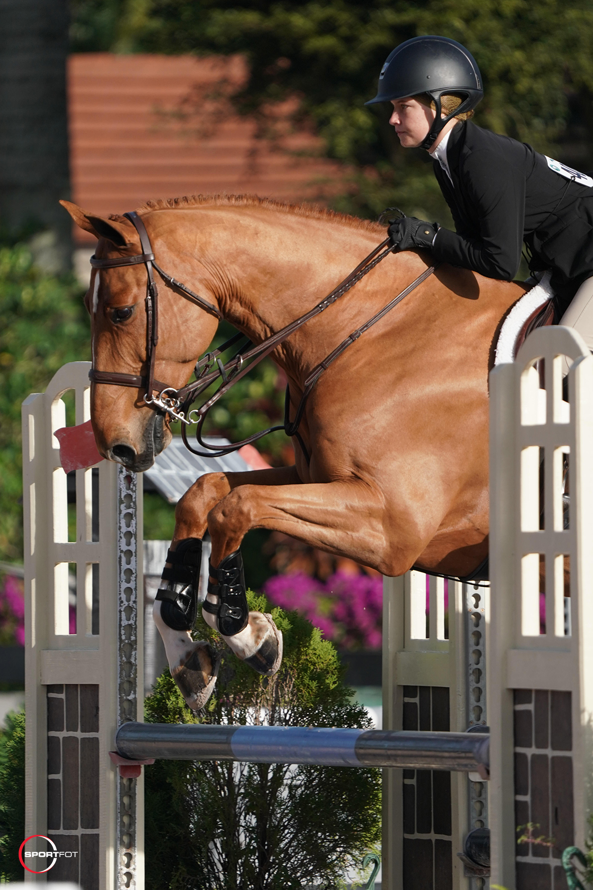 Taylor Landstrom and Francesca Guidi Top the EMO Insurance USHJA 3’3 ...