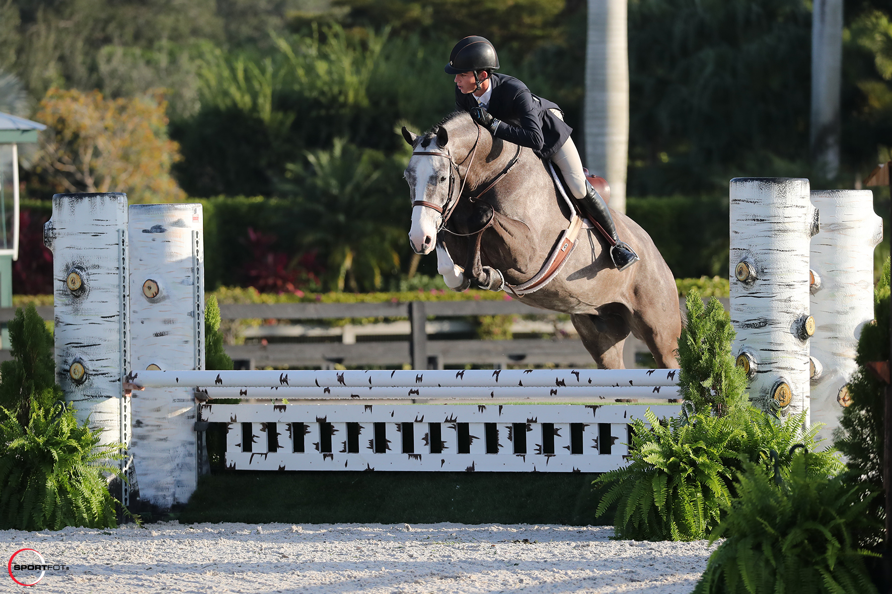 Cooper Dean and Figure of Speech Dominate the Young Hunter 2’9” Five ...