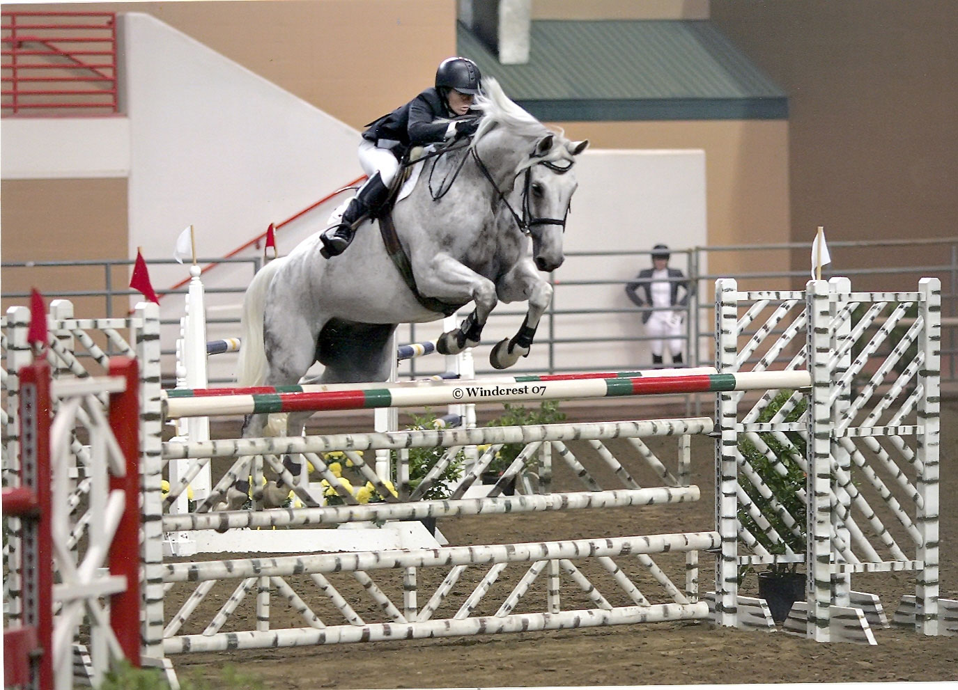 Mama in the Making: The Top Four Traits of a Successful Broodmare - The ...