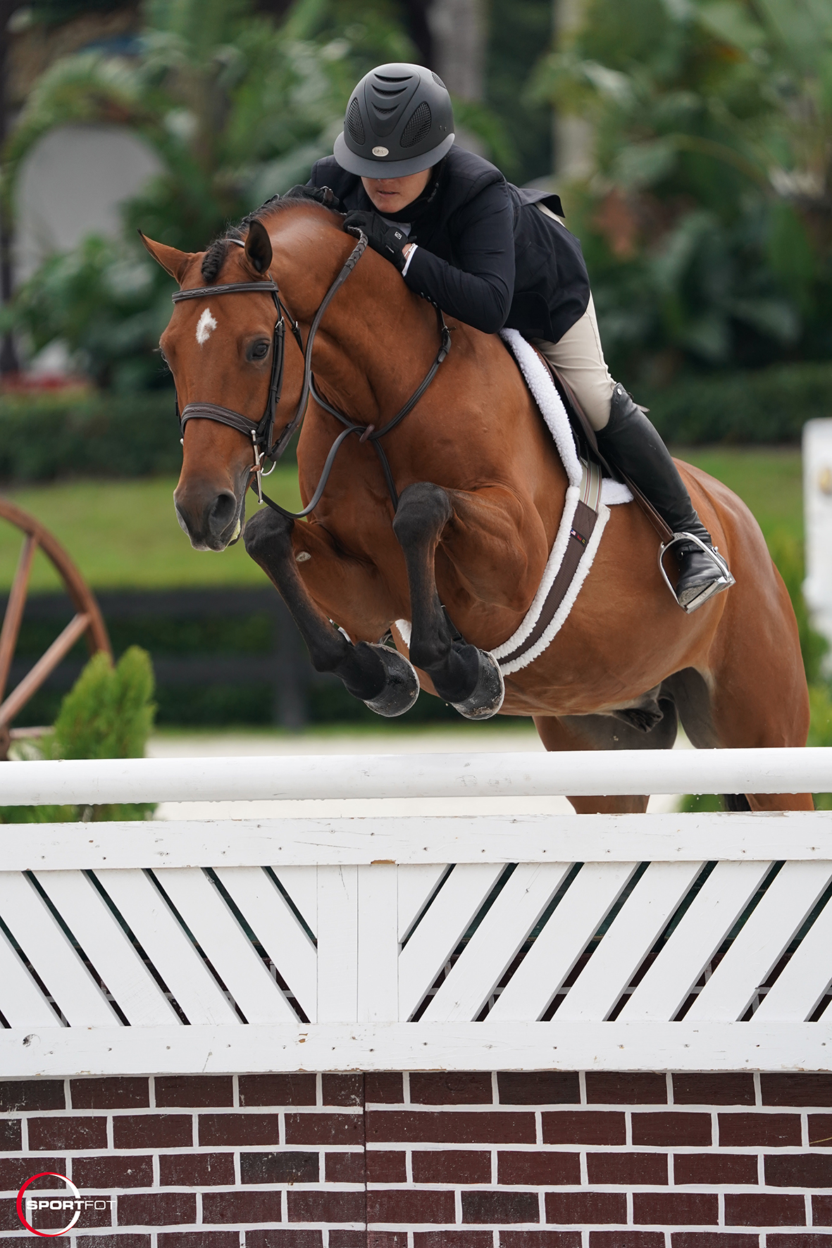Victoria Colvin and Acclaim Earn the Tricolor Ribbon in the Green ...