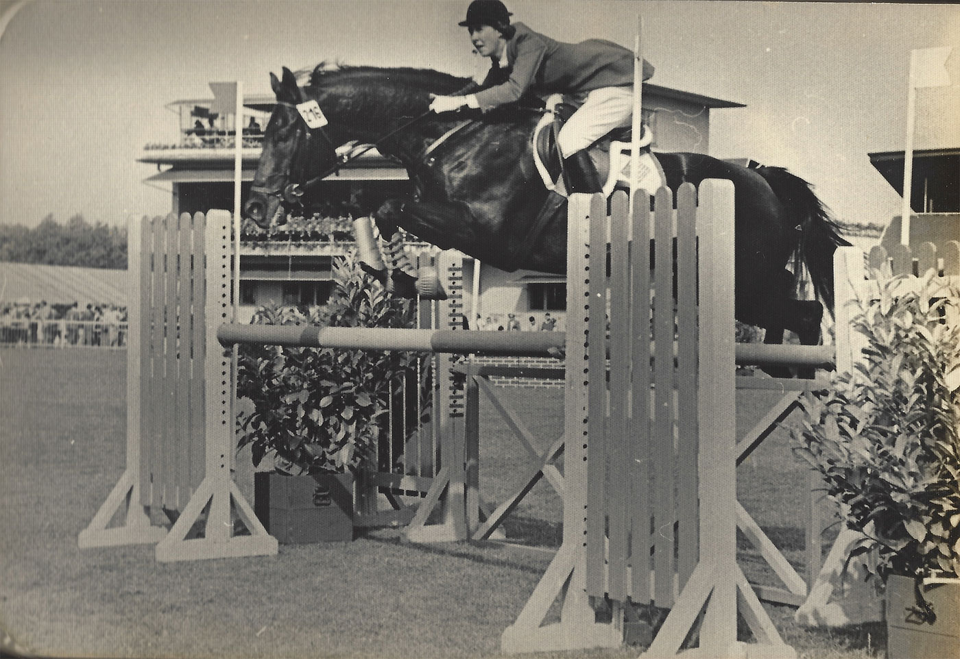 Mary Mairs Chapot - The Plaid Horse Magazine