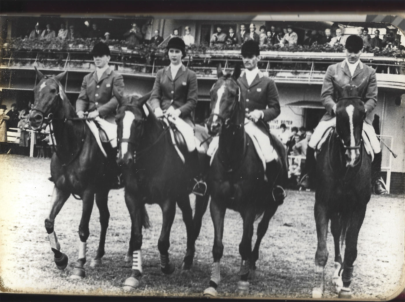 Mary Mairs Chapot - The Plaid Horse Magazine