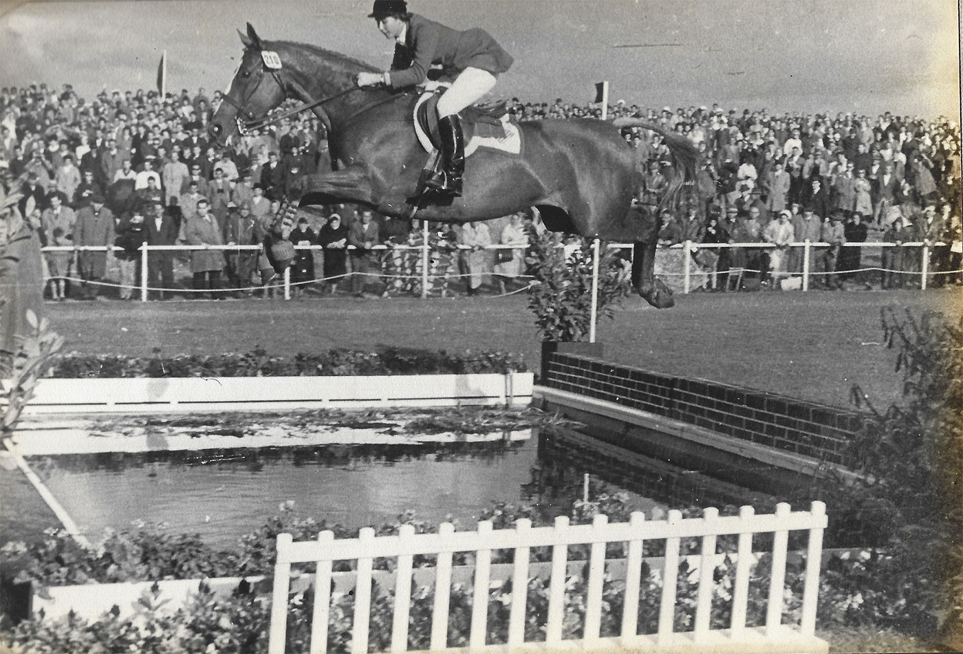 Mary Mairs Chapot - The Plaid Horse Magazine