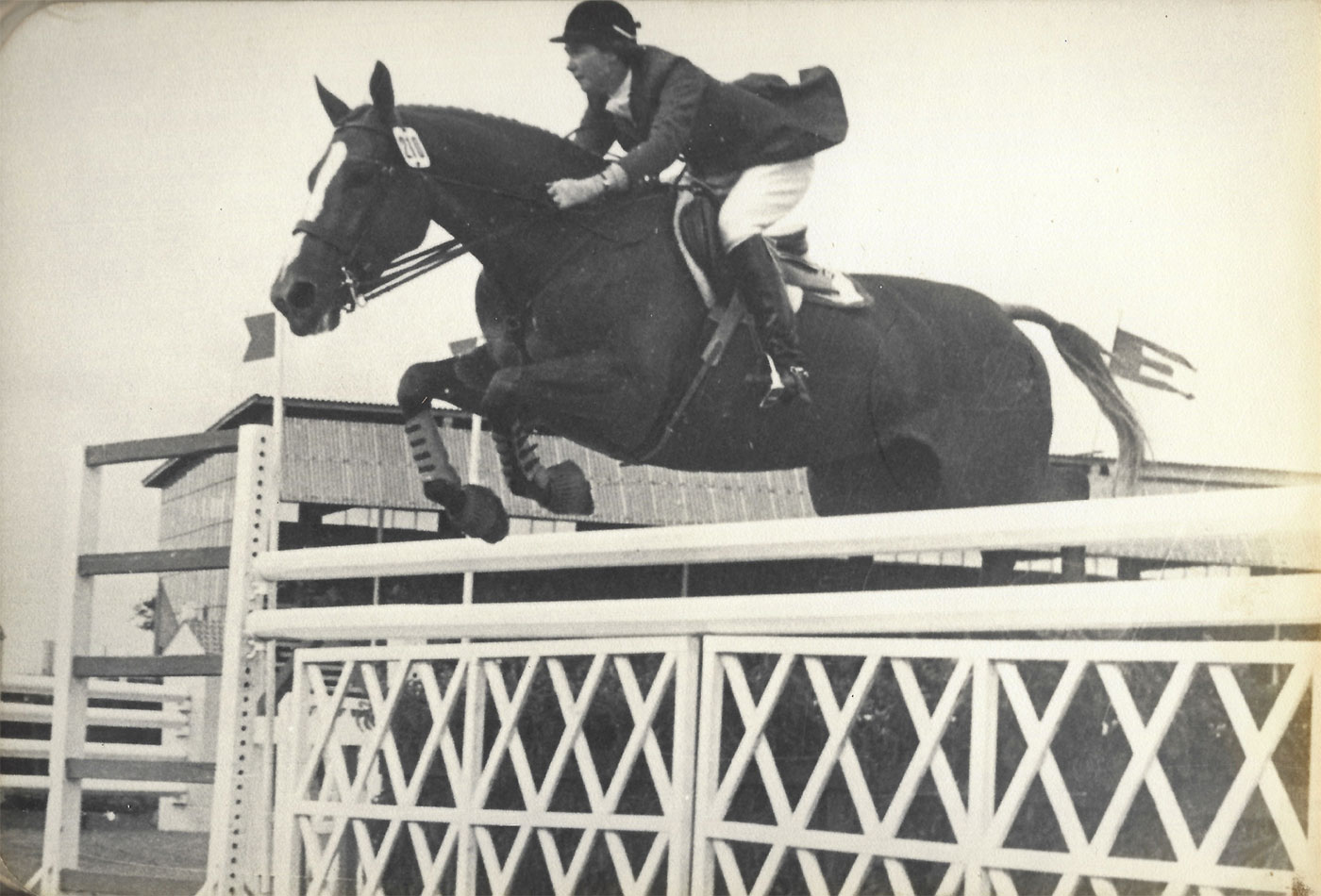 Mary Mairs Chapot - The Plaid Horse Magazine