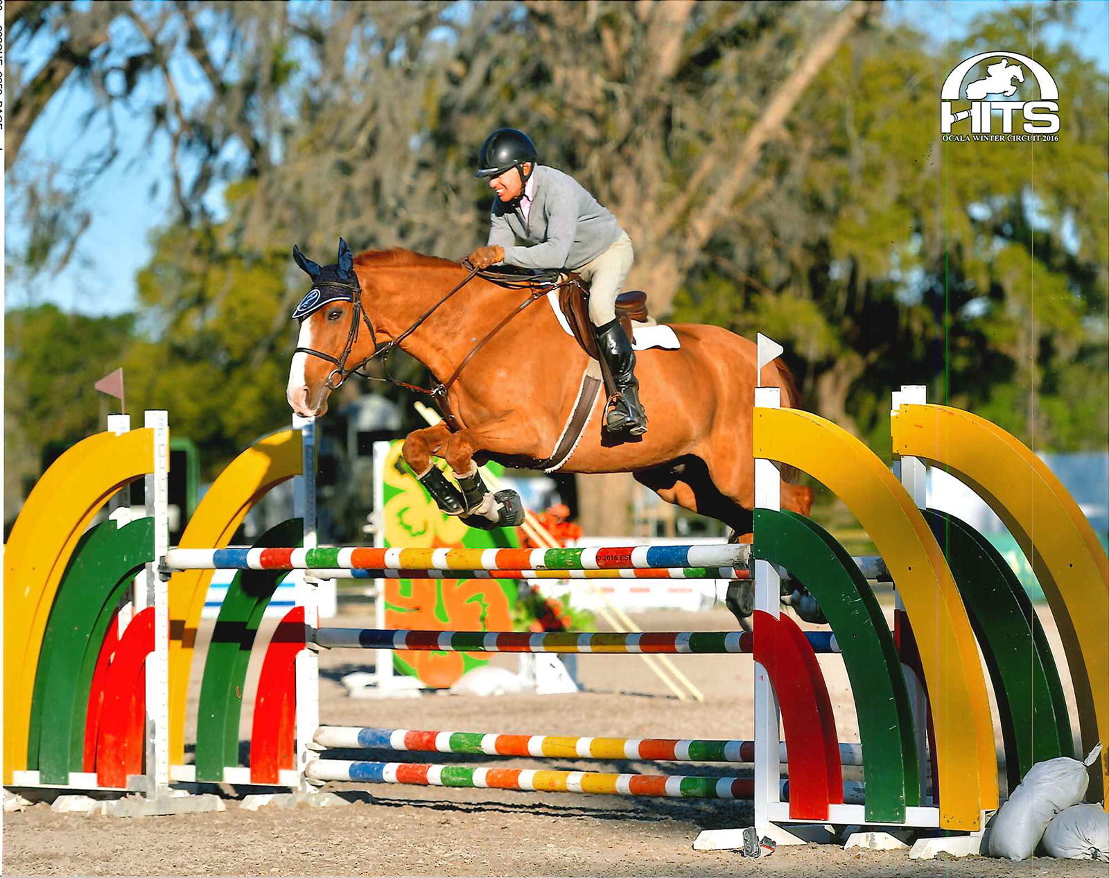 Michael Page: It's About the Ride - The Plaid Horse Magazine