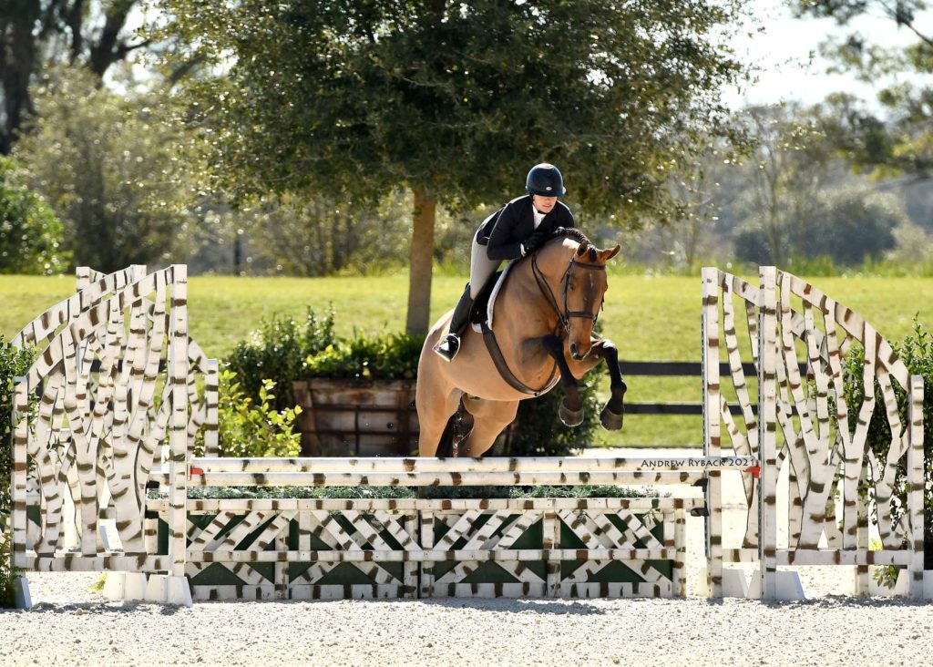 Isabel Harbour and Fitz take the blue in the $15,000 WEC Derby 3′ Non ...