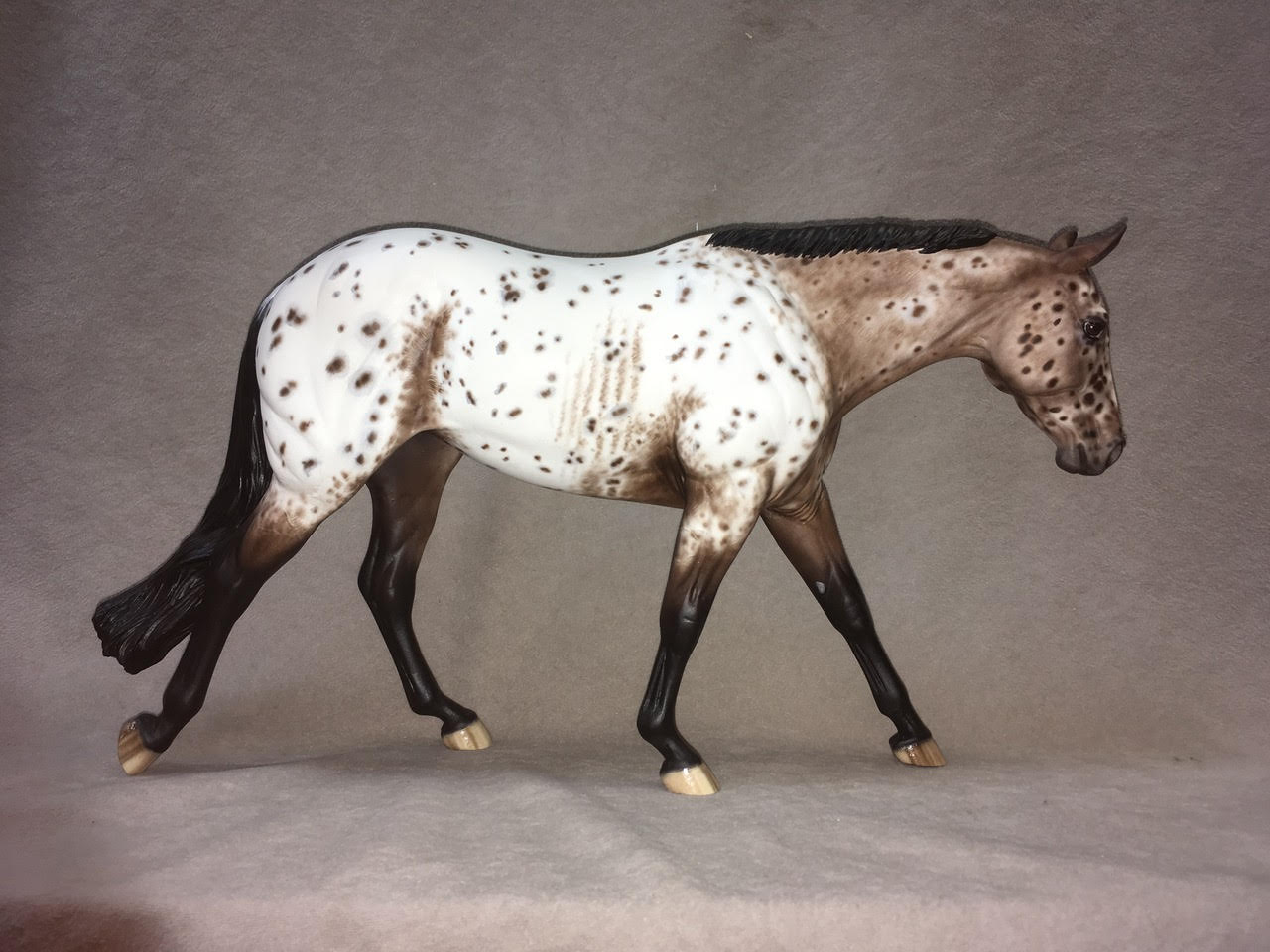 Modeling the Perfect Horse - The Plaid Horse Magazine