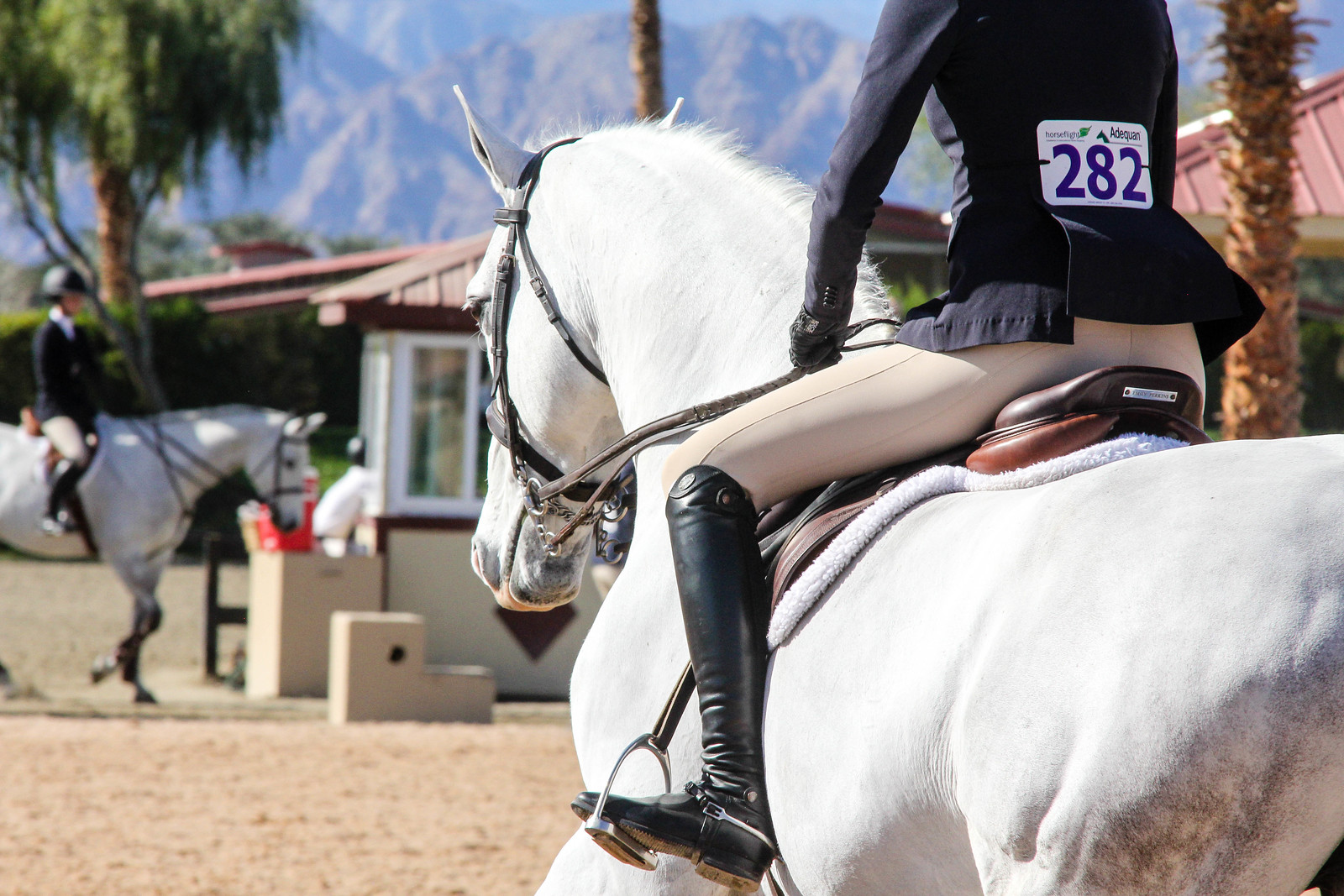 Equestrian vs Depression: Embracing a New Pace in Life - The Plaid ...