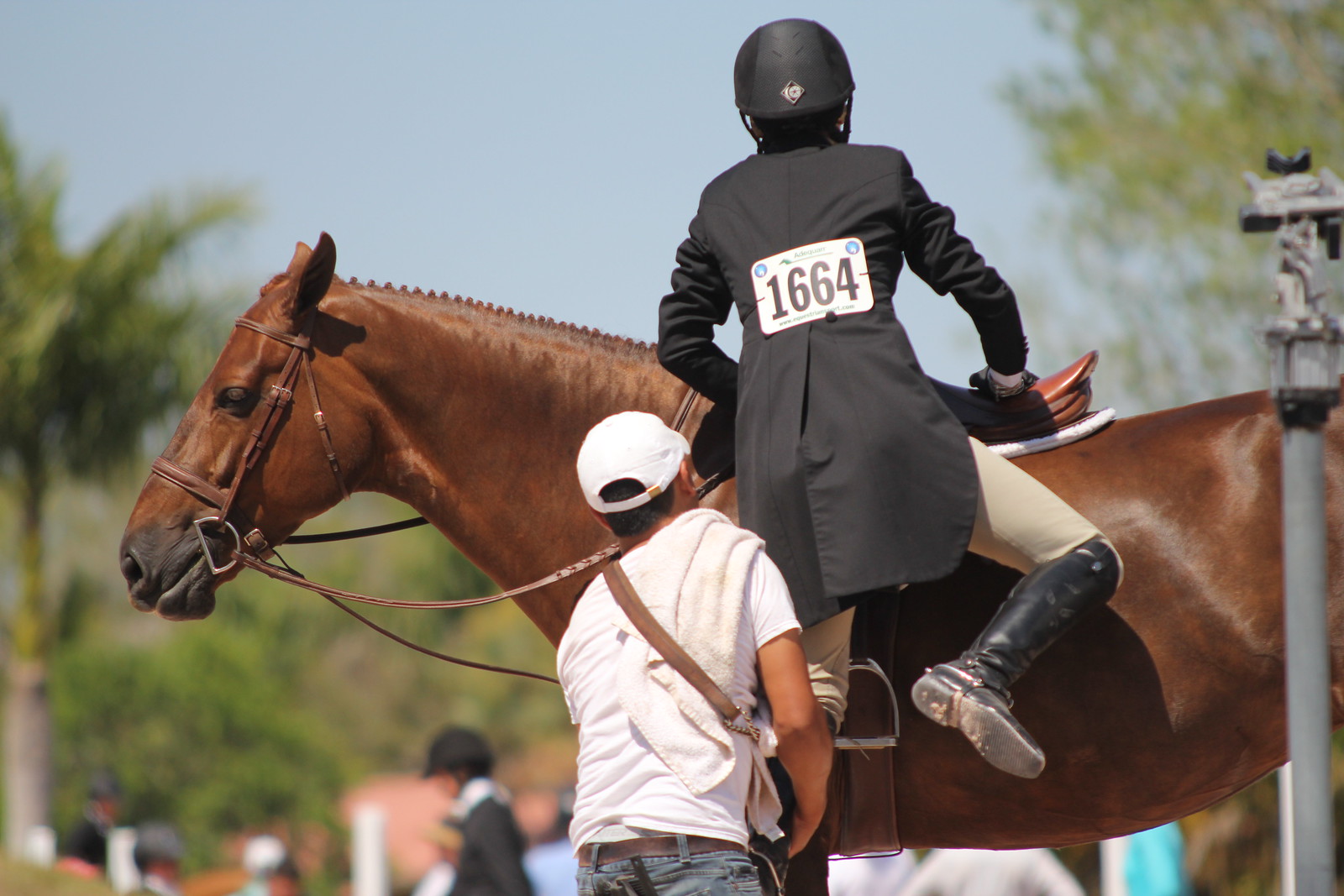 What’s Happening to Young Equestrian Professionals? - The Plaid Horse ...