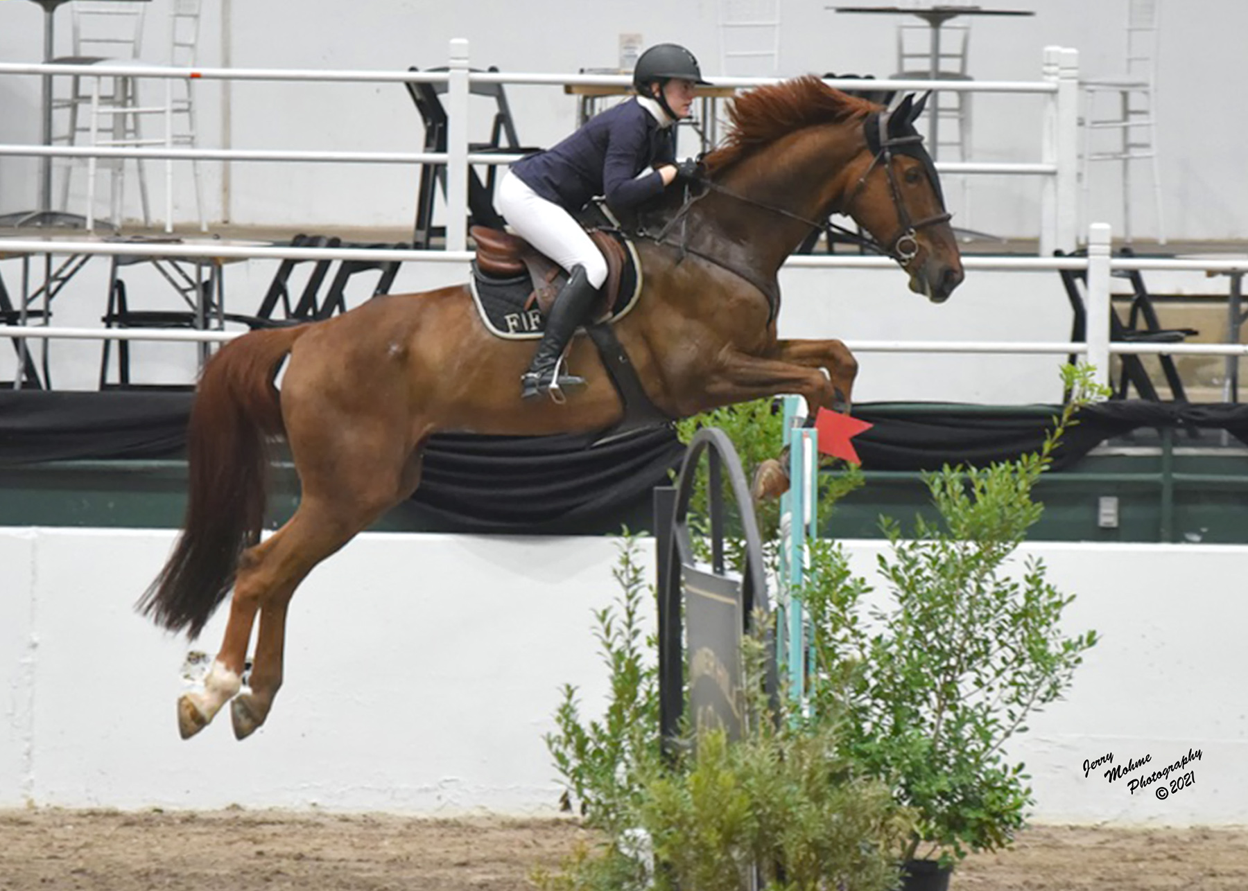 Texas Winter Series Week IV Ends on High Note for Elizabeth Mitchell ...